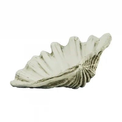 Clam Shell Decoration 27cm | Final Touch Decor