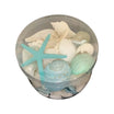 Premium Mixed Sea Shell Pack Aqua | Final Touch Decor